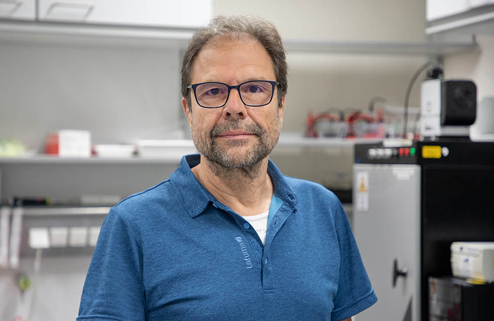 Medical Faculty/University Hospital Magdeburg - Renowned cancer ...